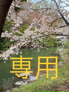 【2023年最新】any fam 150 の人気アイテム - メルカリ