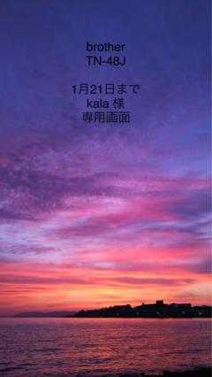 【2023年最新】TN-48Jの人気アイテム - メルカリ