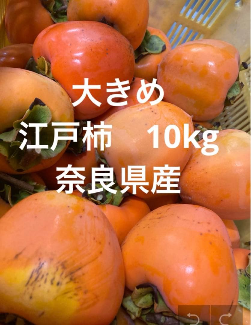 江戸柿 10kg 2L以上 百目 渋柿 奈良県西吉野 農家直送 橋本農園 - メルカリ