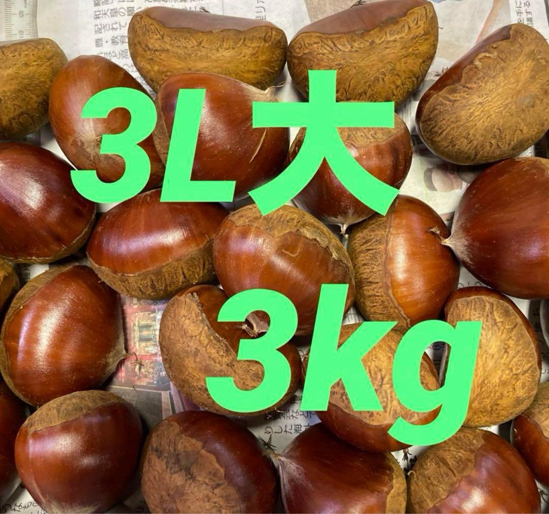 【新品/未使用】大粒の3L 3kg 無農薬生栗 茨城県産 - メルカリ