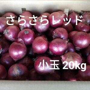 北海道産くりやま健康 玉ねぎ『さらさらレッド20kg 2S ～ Sサイズ 込 - メルカリ