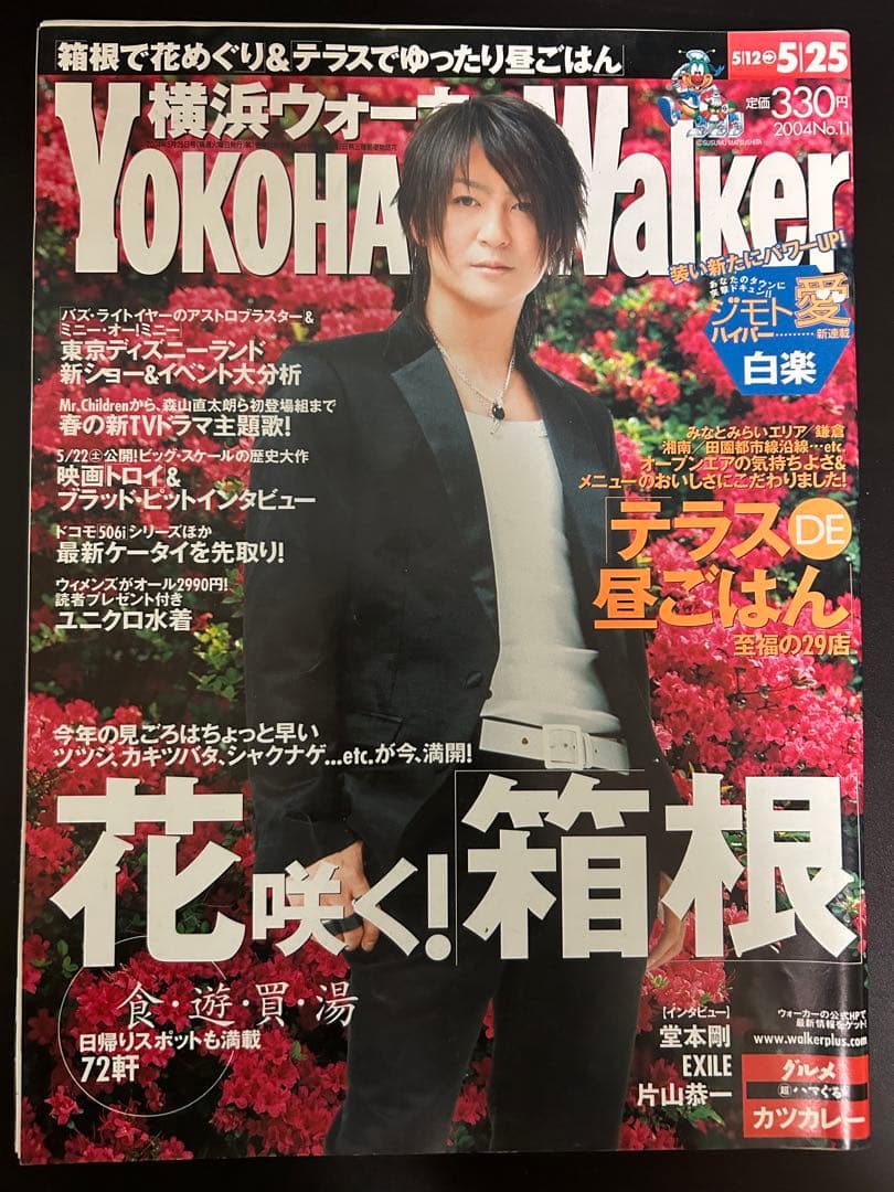 Yokohama Walker 横浜ウォーカー GLAY TERU - メルカリ