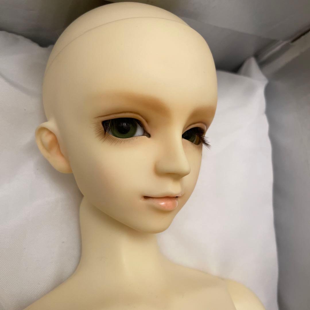 スーパードルフィーSD13 ヘッド内数字40 - メルカリ