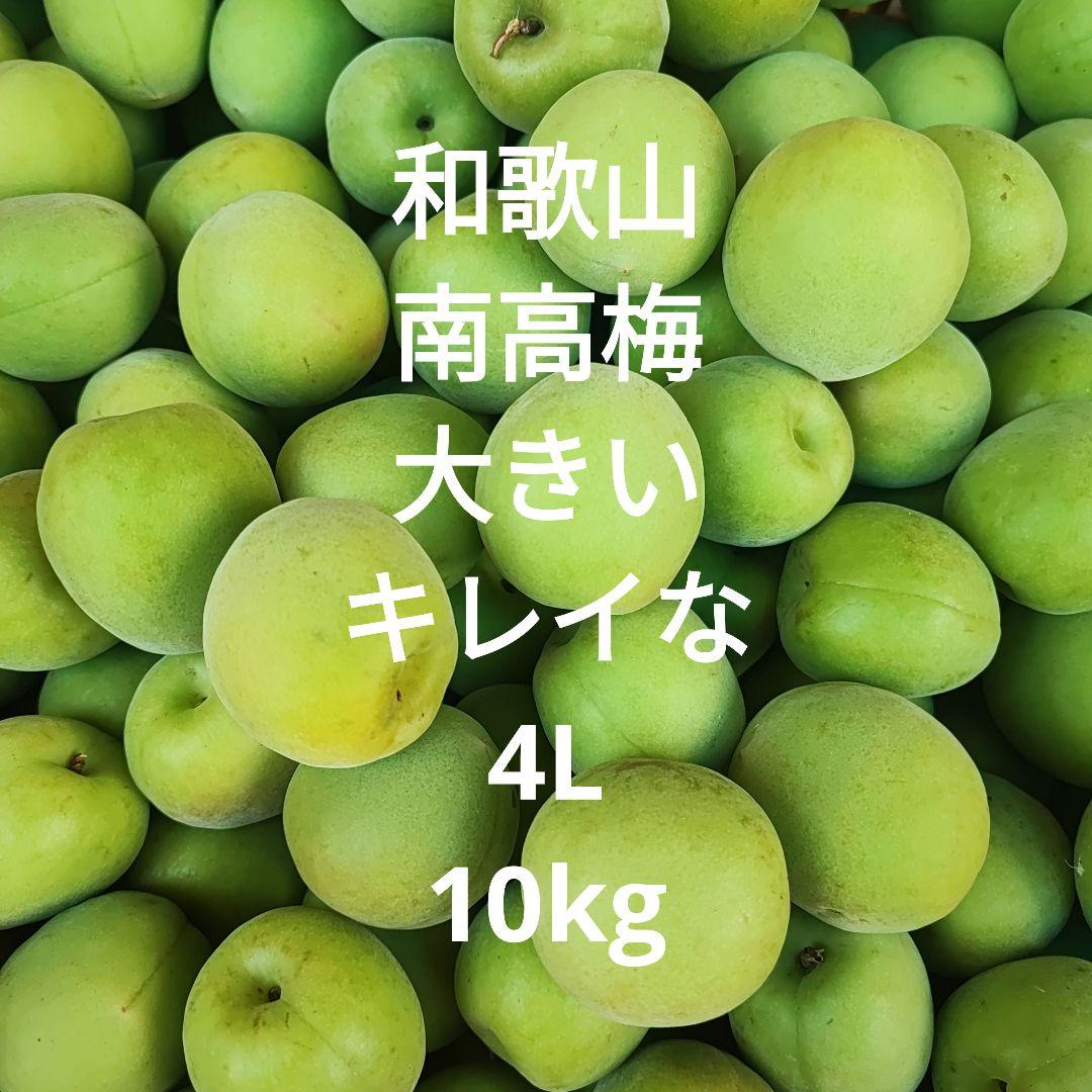 和歌山 南高梅 大きい 4L 10kg 変更5kg by メルカリ