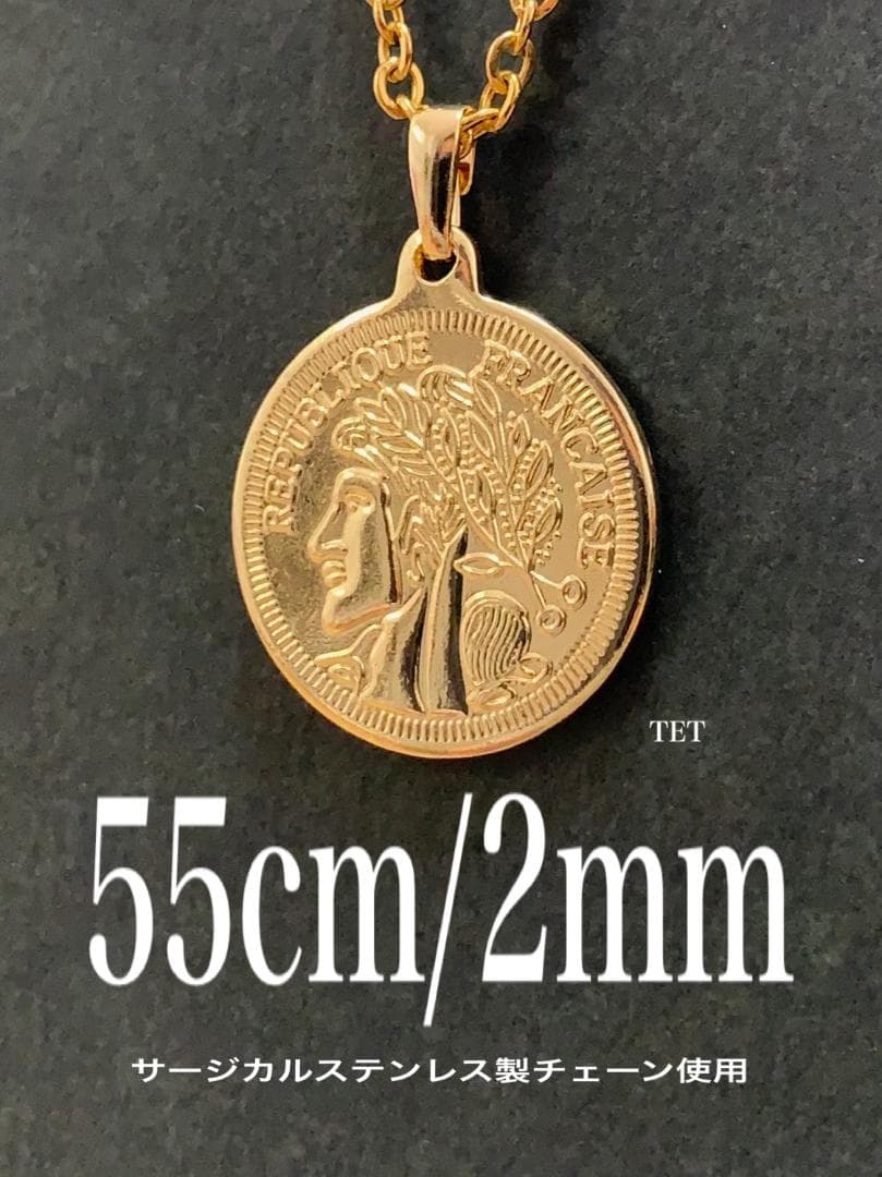 【ビッグコインネックレス ゴールド 2mm 55cm】ステンレス a45 - メルカリ