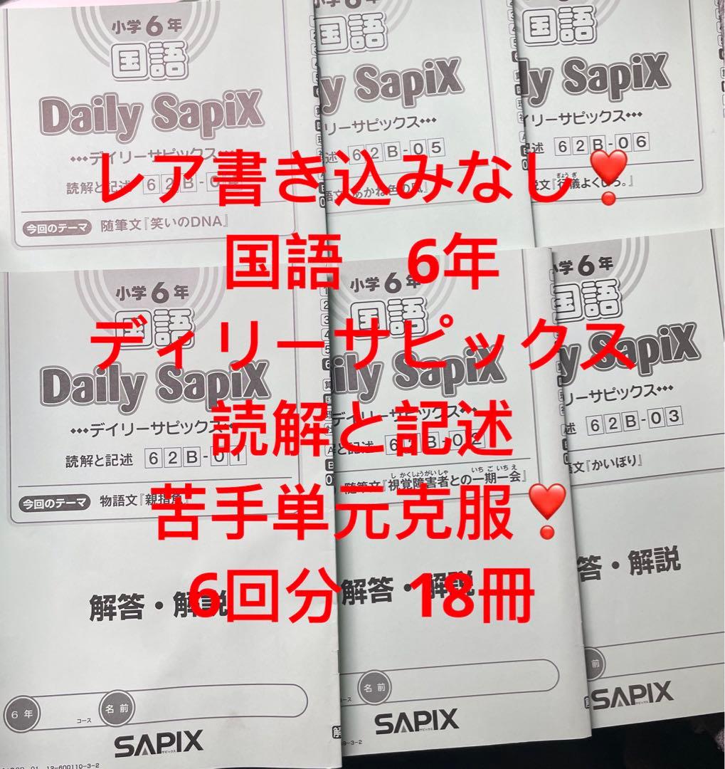 15-1 サピックス SAPIX 6年 読解と記述 6回分 書き込みなし ️ - メルカリ