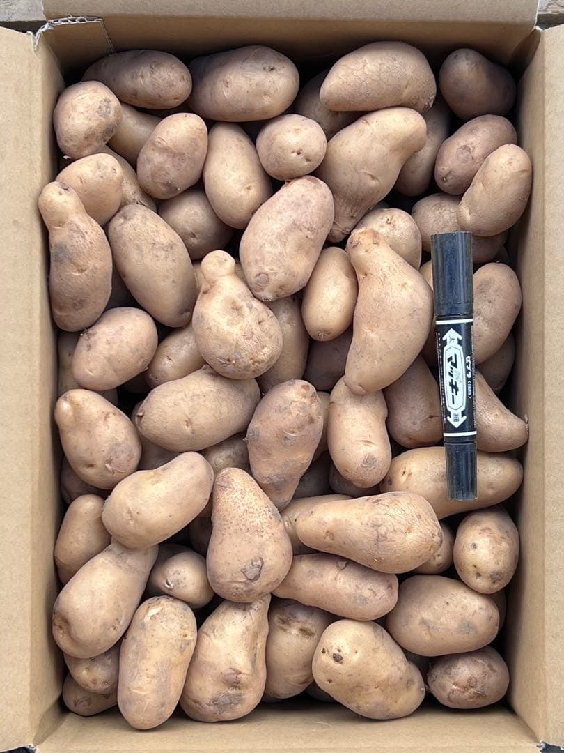 [小さめ]北海道産 メークイン 規格外S&秀品2S 20kg じゃがいも 馬鈴薯 - メルカリ