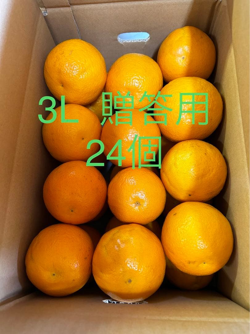 贈答用 3L 24個 約7kg 国産バレンシアオレンジ 有田みかん お中元 - メルカリ