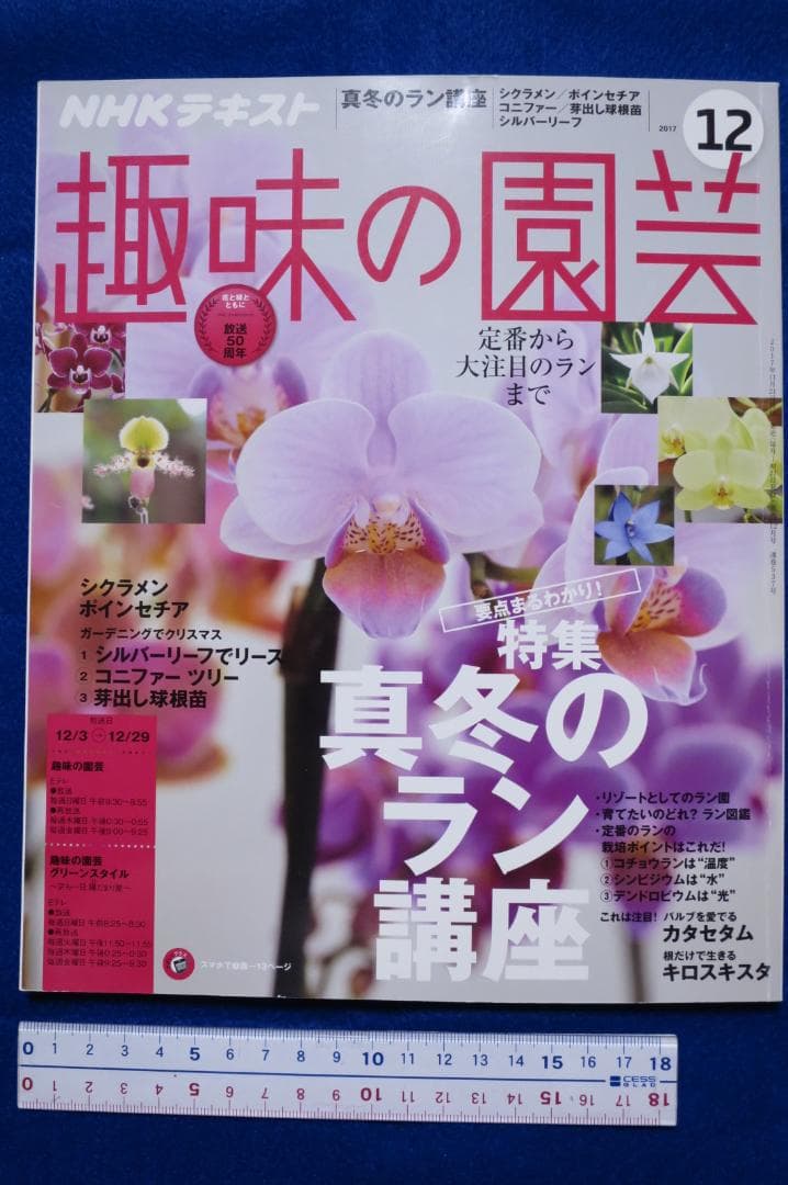 NHKテキスト 趣味の園芸 2017年12月号 特集「真冬のラン講座」 園芸 - メルカリ