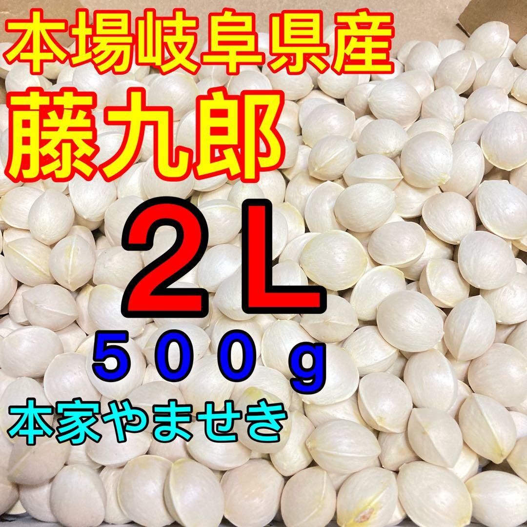 ⭐️特売！2L♡500g♡本場岐阜県産！本家やませき、藤九郎銀杏⭐️ - メルカリ