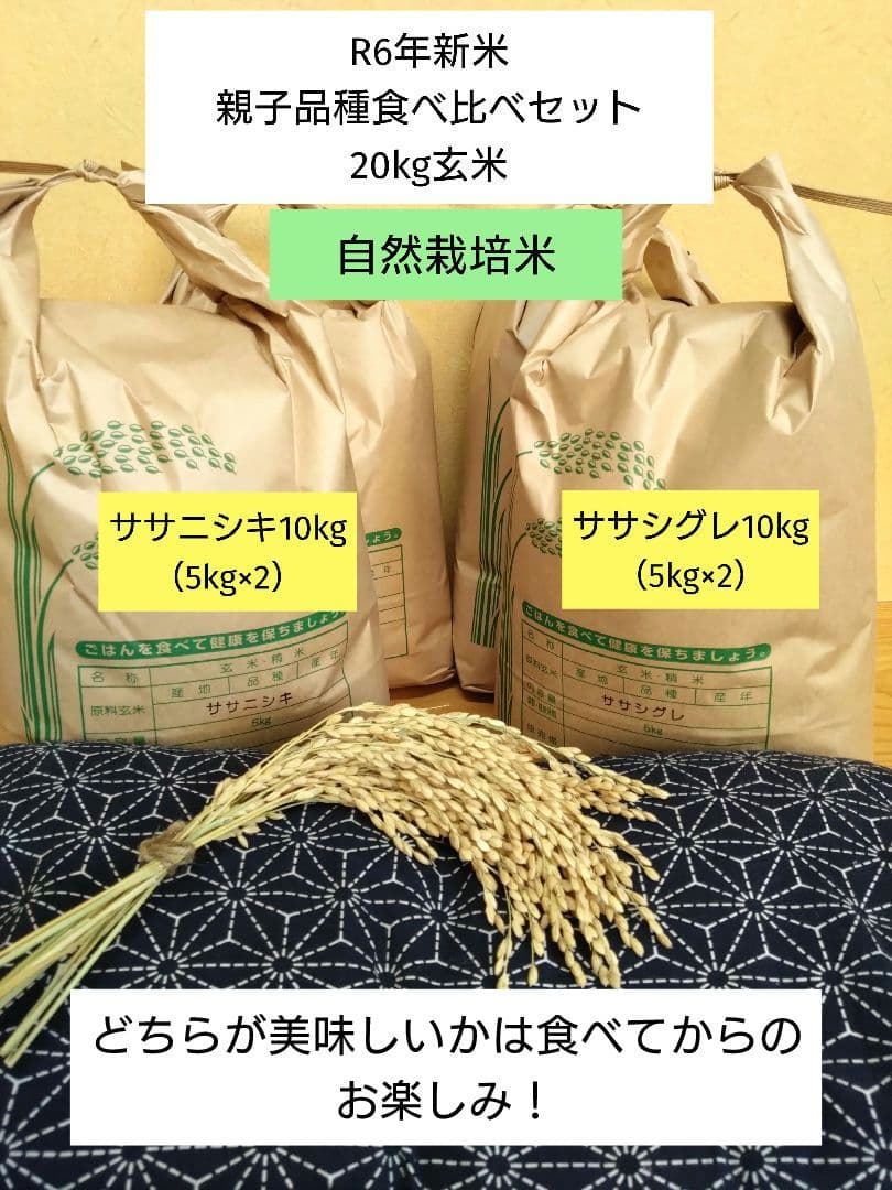 R6年 ササシグレ、ササニシキ 食べ比べセット20kg玄米 自然栽培米 - メルカリ