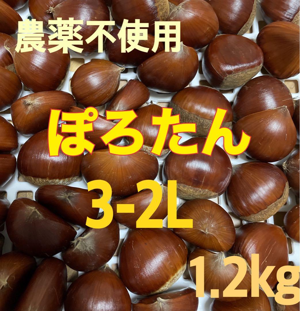 9生栗 ぽろたん1.2kg 2-3L 大粒 by メルカリ