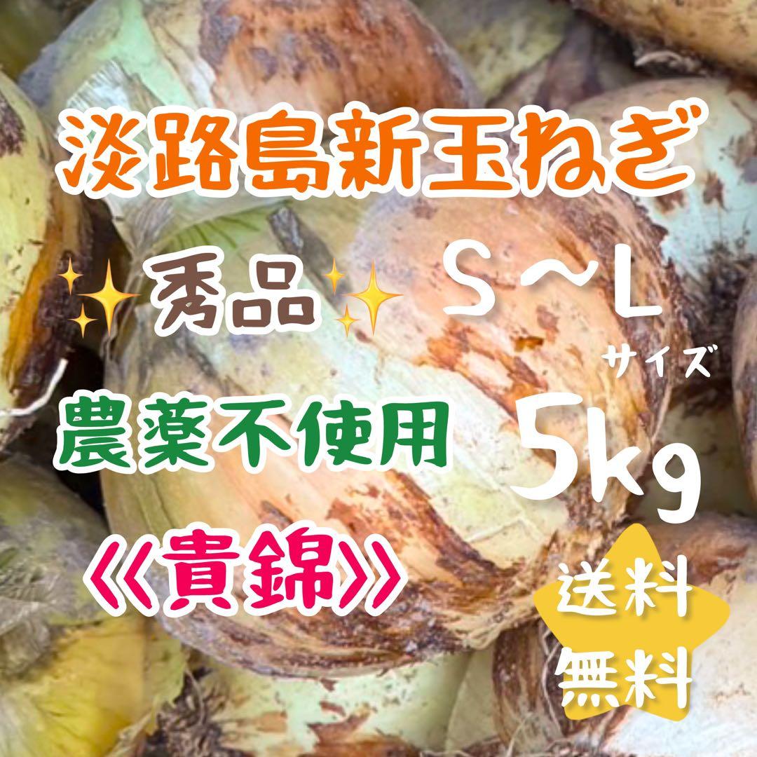 淡路島新玉ねぎ 5kg S〜Lサイズ 農家直送 貴錦 送料無料 - メルカリ