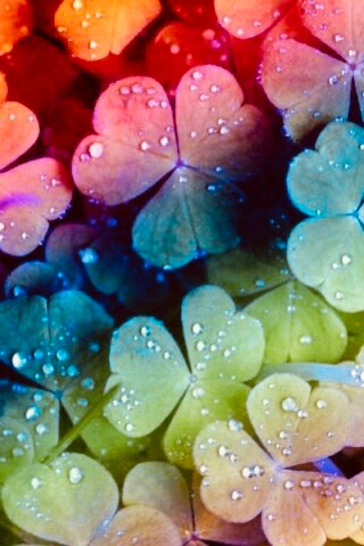 N.ナチュラルバームSC - メルカリ