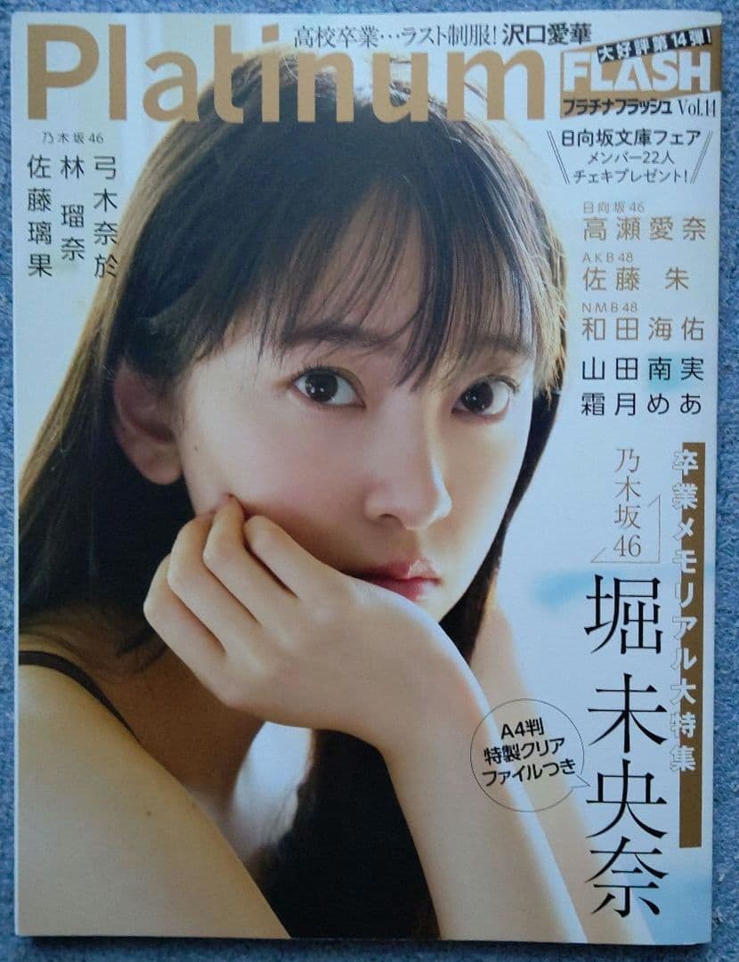 Platinum FLASH Vol.14 - メルカリ