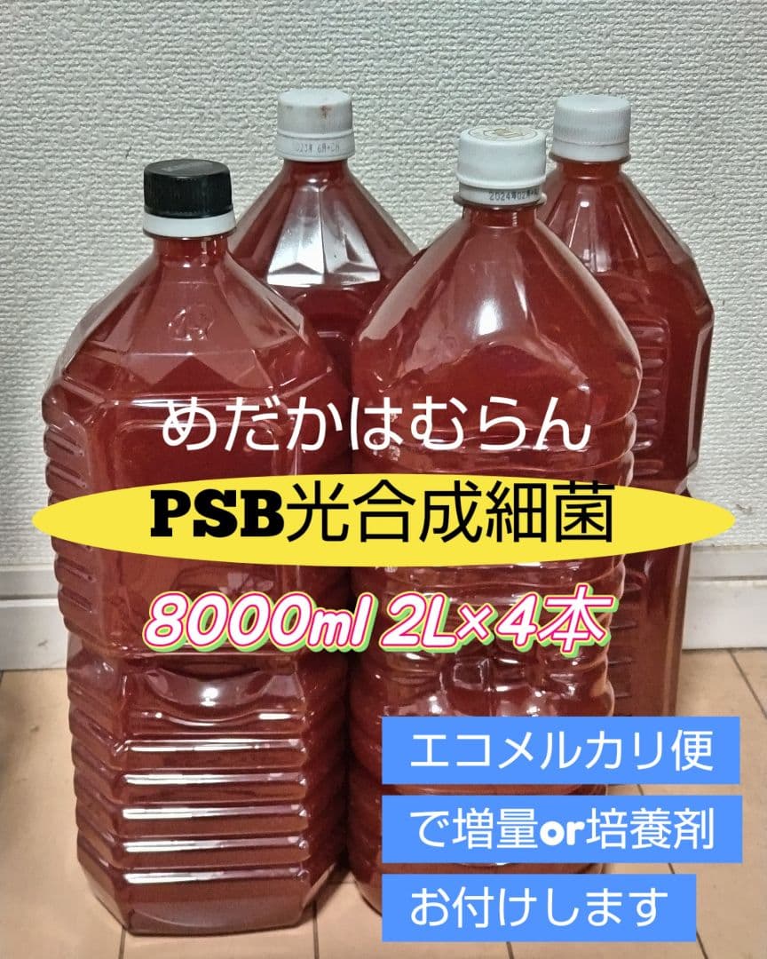 PSB光合成細菌（自家培養）8000ml（2L×4本）⑤ - メルカリ