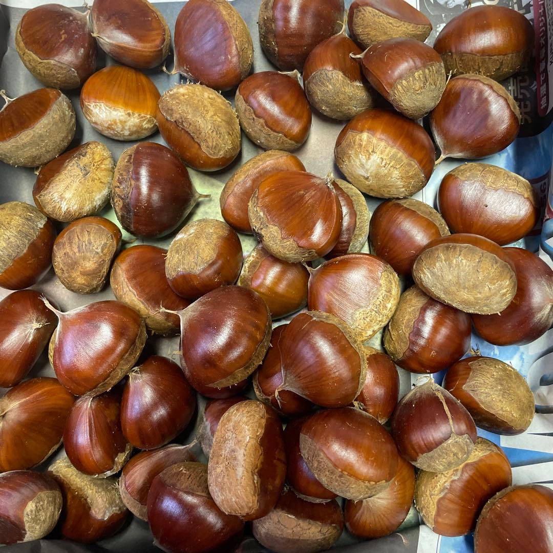 無農薬 茨城県産生栗 3L 1kg by メルカリ