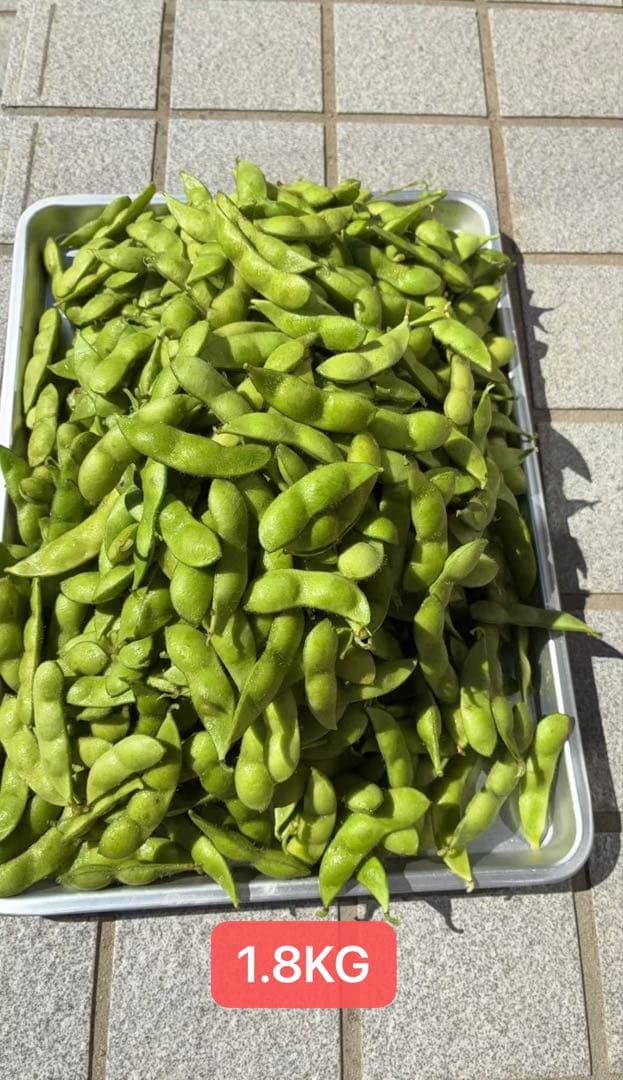 新潟県新潟市産枝豆 茶豆AB品 1.8kg クール便 毎朝採りを発送 - メルカリ
