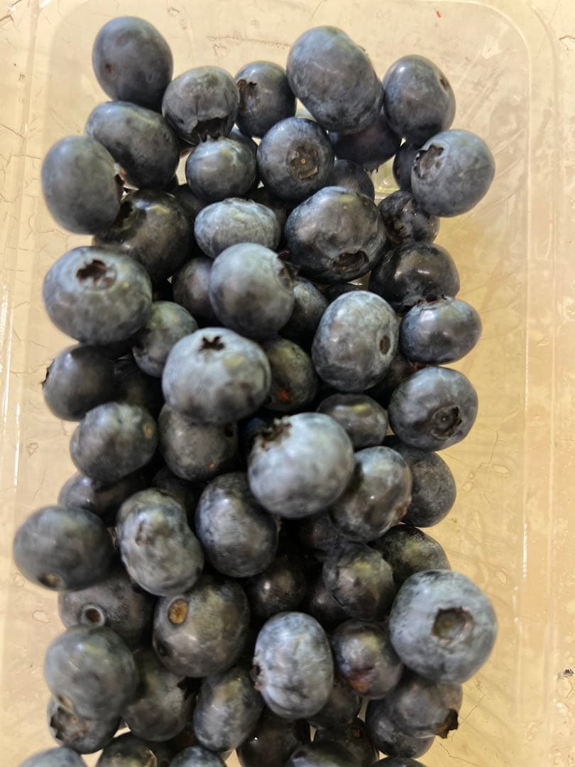 千葉産ブルベリー1箱900g(150g×6p) - メルカリ