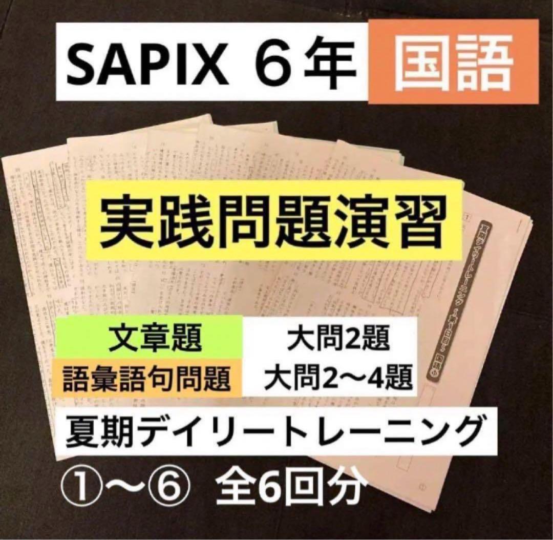 SAPIX サピックス 国語 6年生 夏期デイリートレーニング 語彙語句 - メルカリ