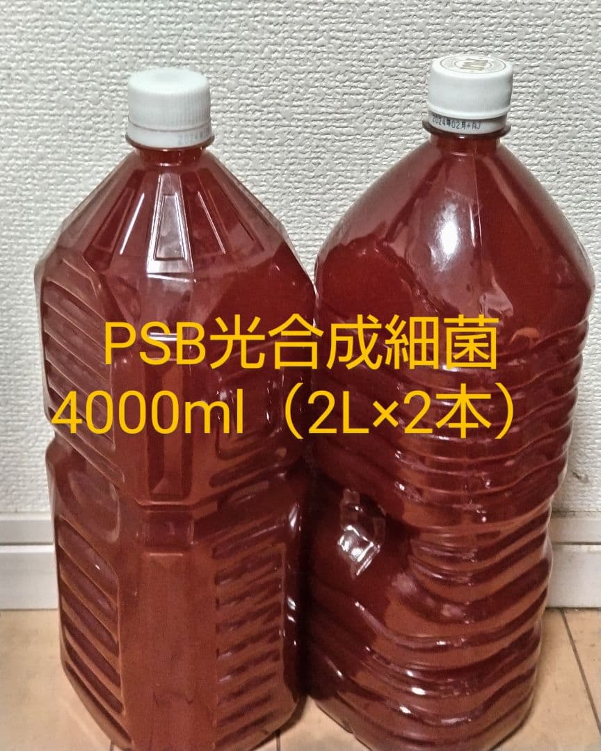 光合成細菌PSB（自家培養）4000ml（2L×2本）② - メルカリ
