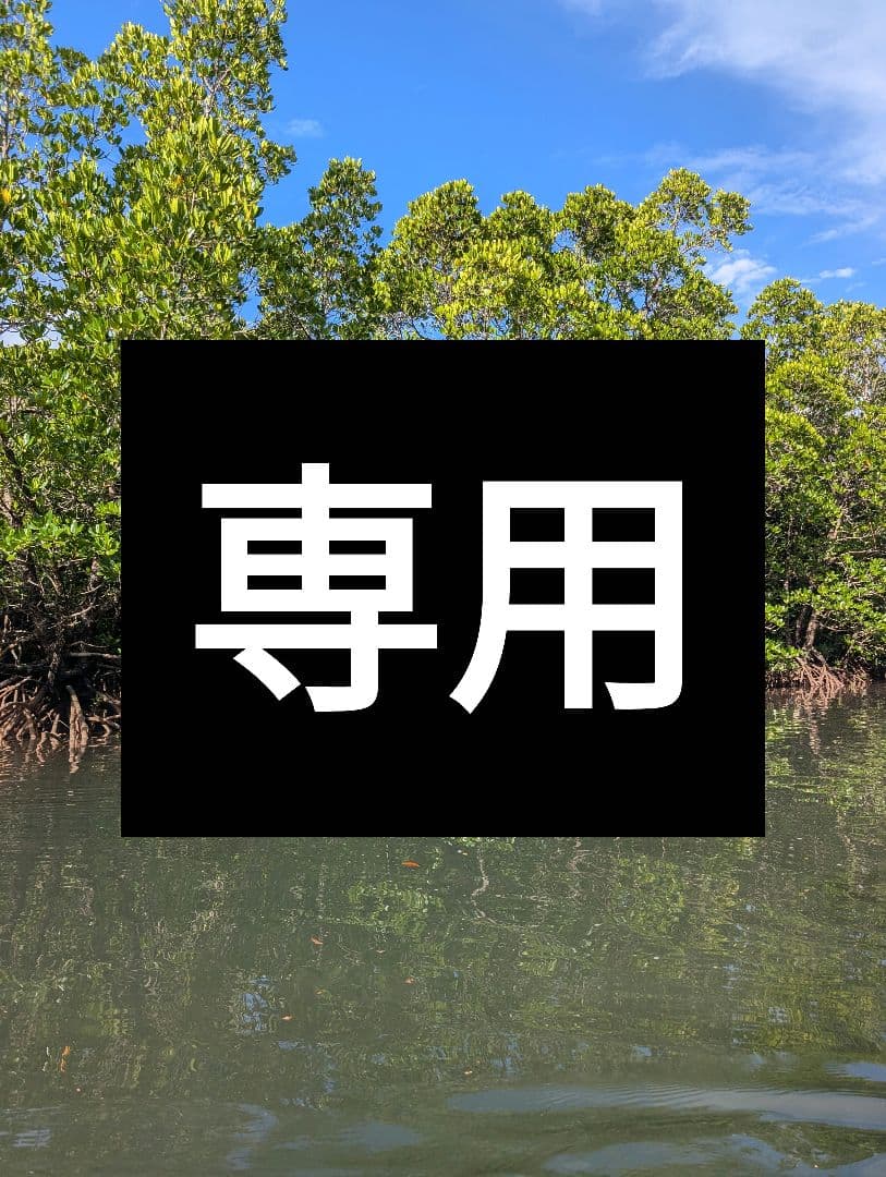 専用 XjBLV-m43087218700 | suginamikids.main.jp