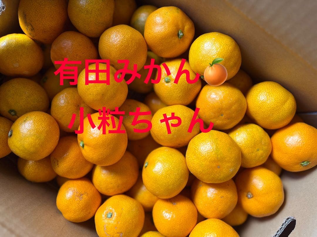 有田みかん、小粒♪ 箱込み5Kg 2S、3S混合 - メルカリ