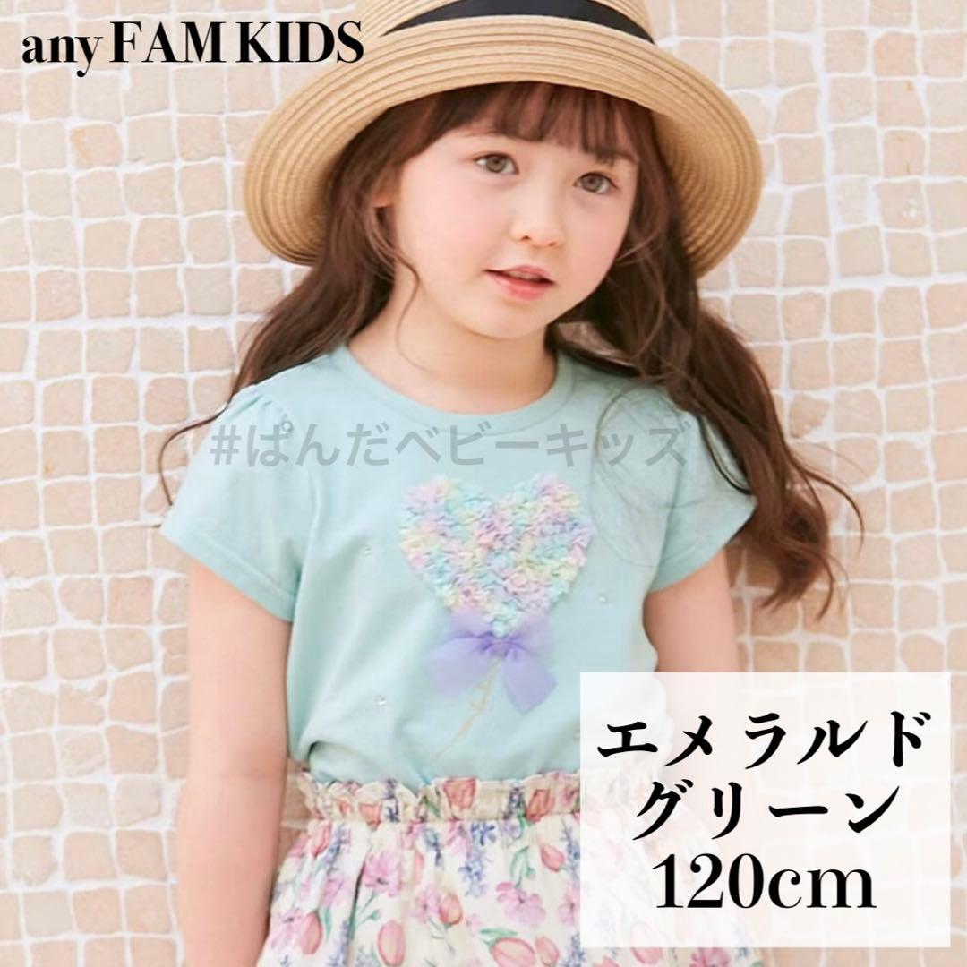 新品 anyFAMエニィファムキッズ モシャモシャモチーフTシャツ半袖120cm - メルカリ
