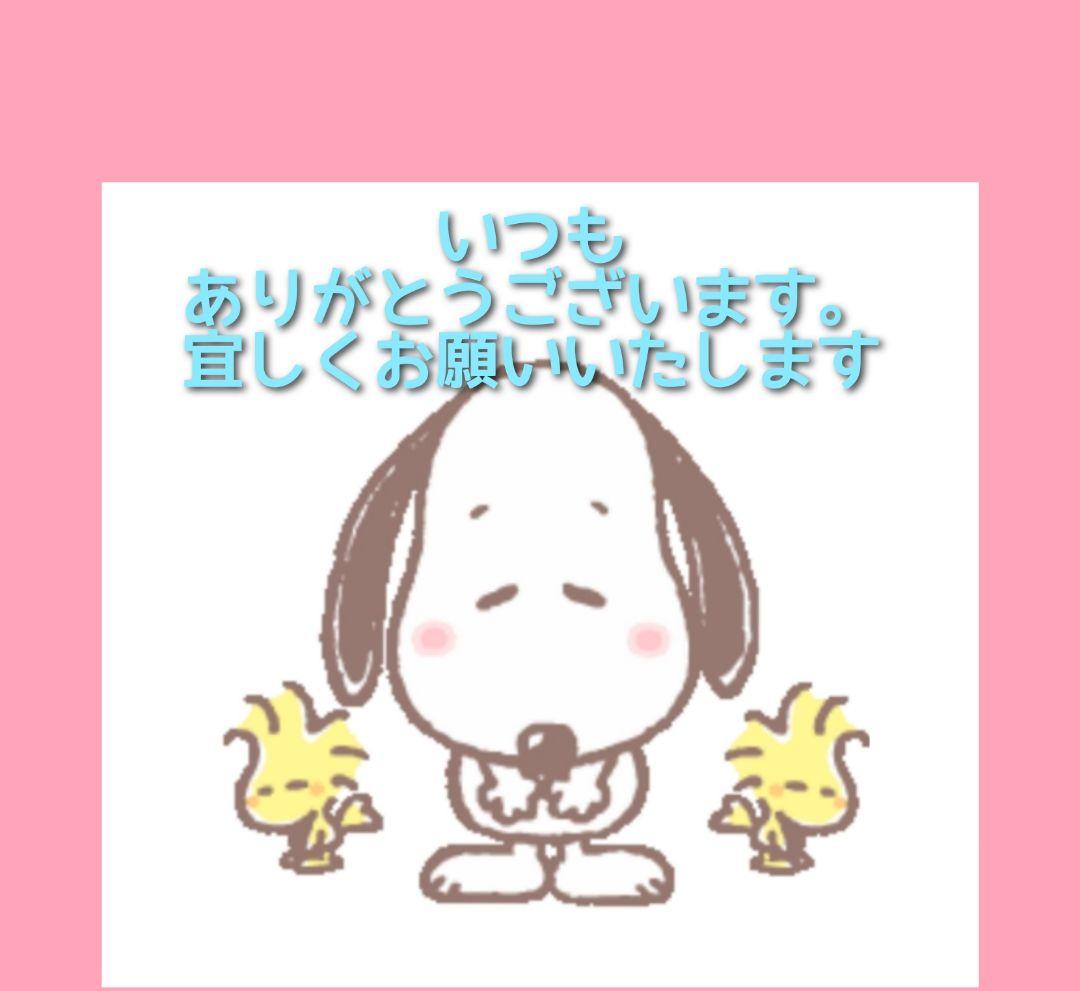 tokko333 様専用 超特大袋 opp袋a2 425×600 大きい袋 - メルカリ