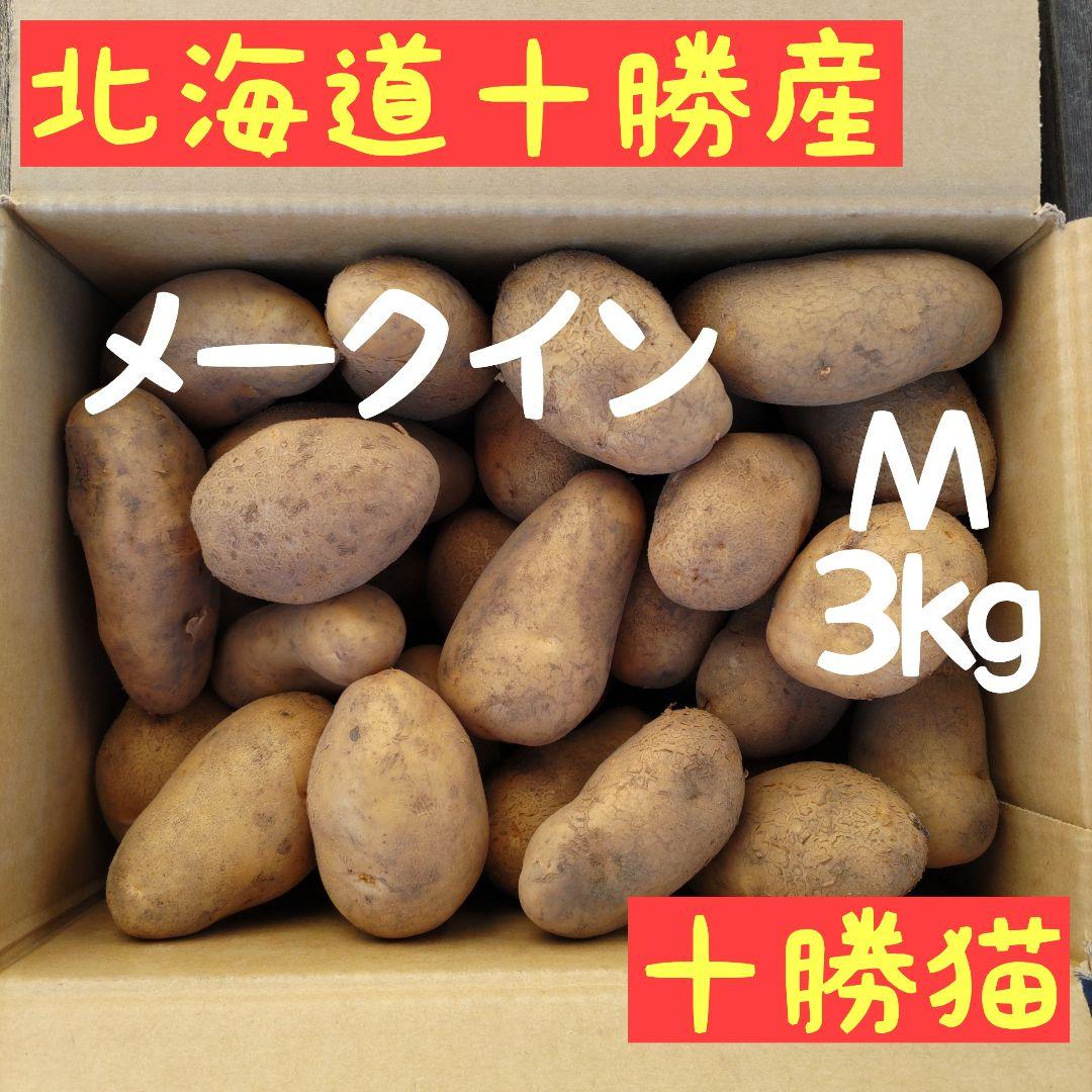 メークインM 3kg 北海道産地直送 越冬じゃがいも - メルカリ