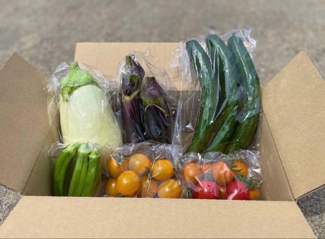 野菜セット (1.7kg~2kg以内 )60サイズ - メルカリ