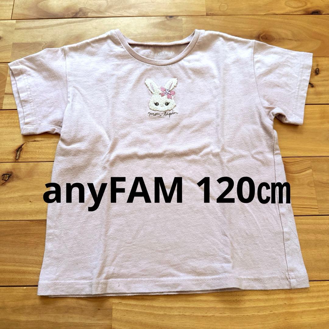 anyFAM 半袖Tシャツ120㎝ - メルカリ
