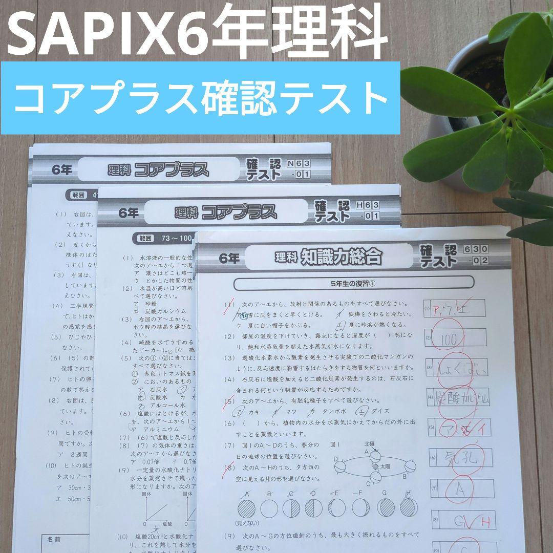 sapix 6年 理科 コアプラス確認テスト サピックス SAPIX 抜けなし - メルカリ