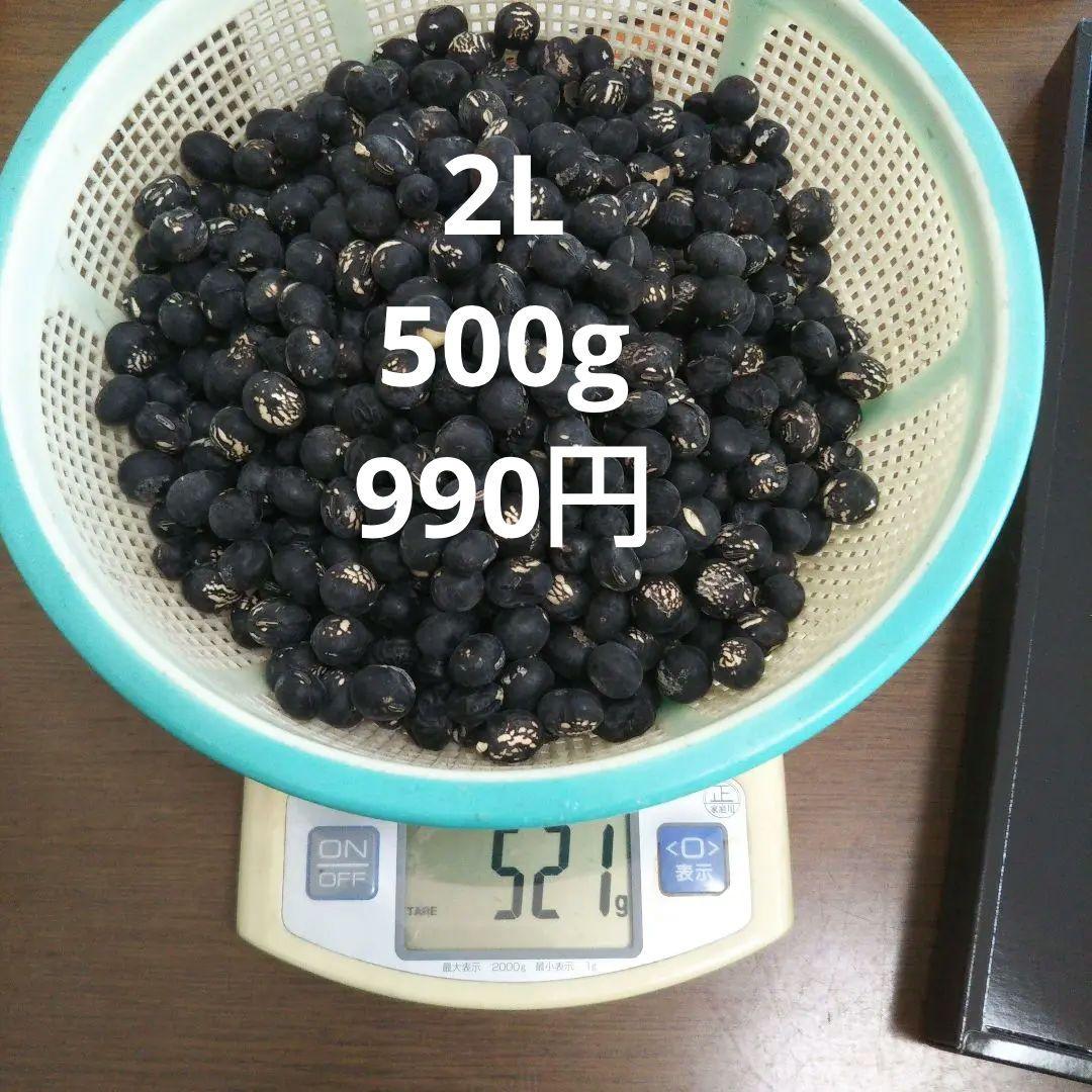 【訳あり】兵庫県産丹波黒大豆2L 500g - メルカリ