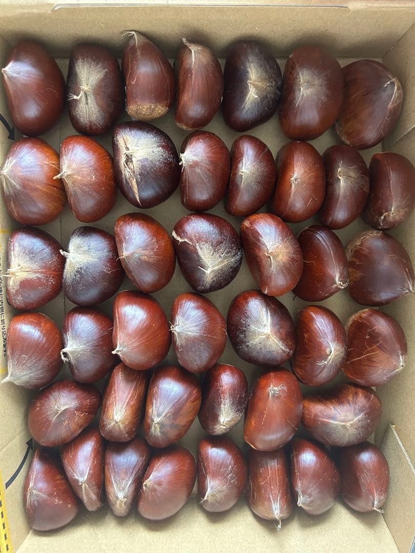 栗 利平栗 3L～4L 1kg以上 - メルカリ