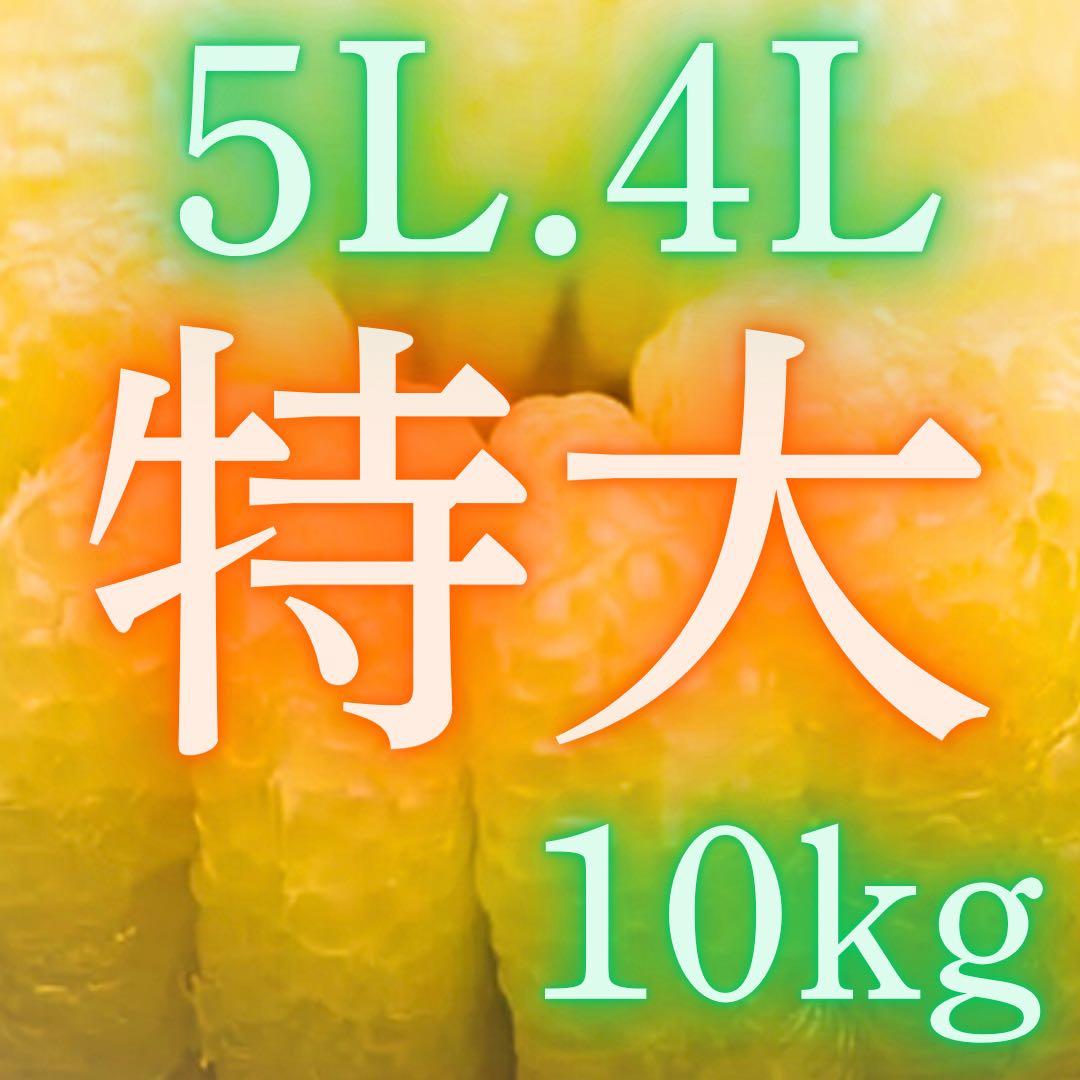 ビッグサイズ 5L.4L 10kg 68 - メルカリ