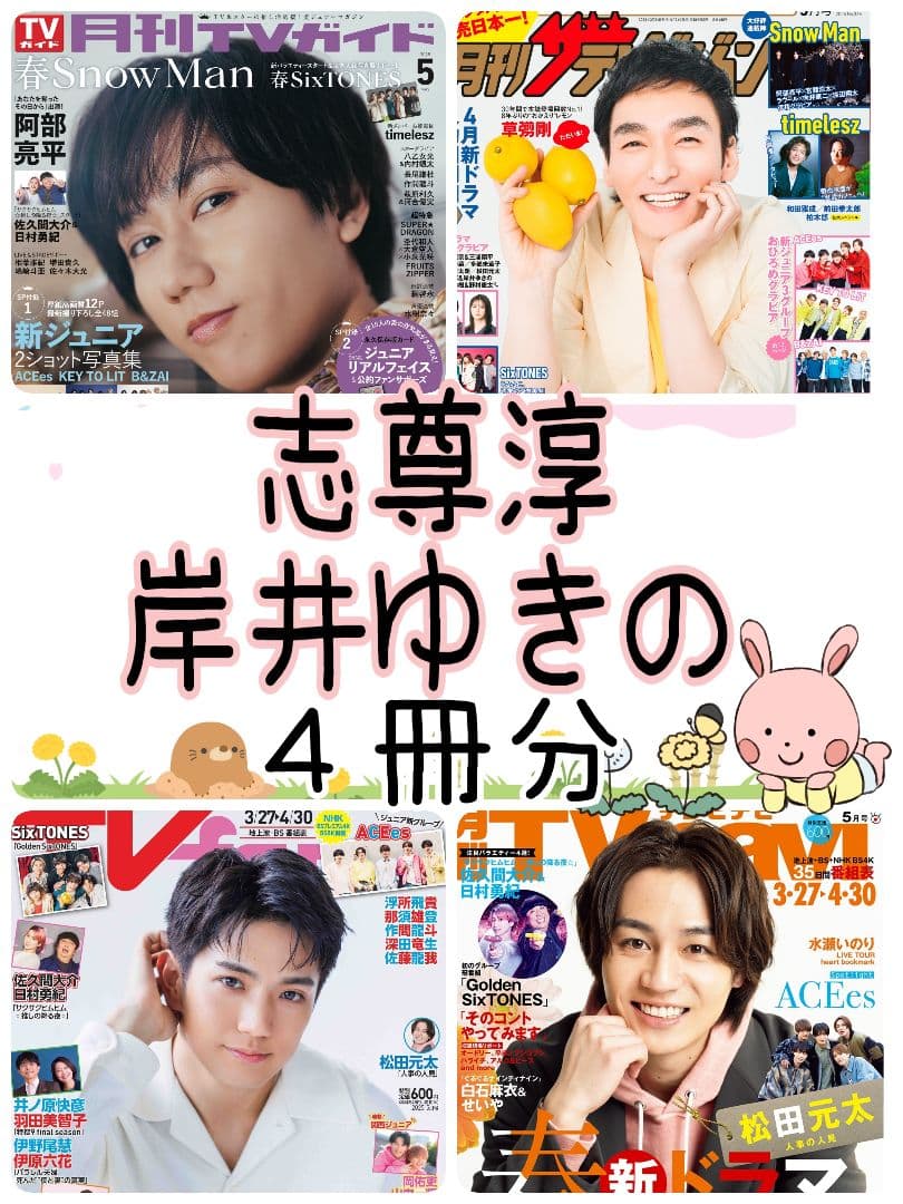 月刊TVガイド ザテレビジョン TVfan TVnavi 志尊淳 岸井ゆきの② - メルカリ