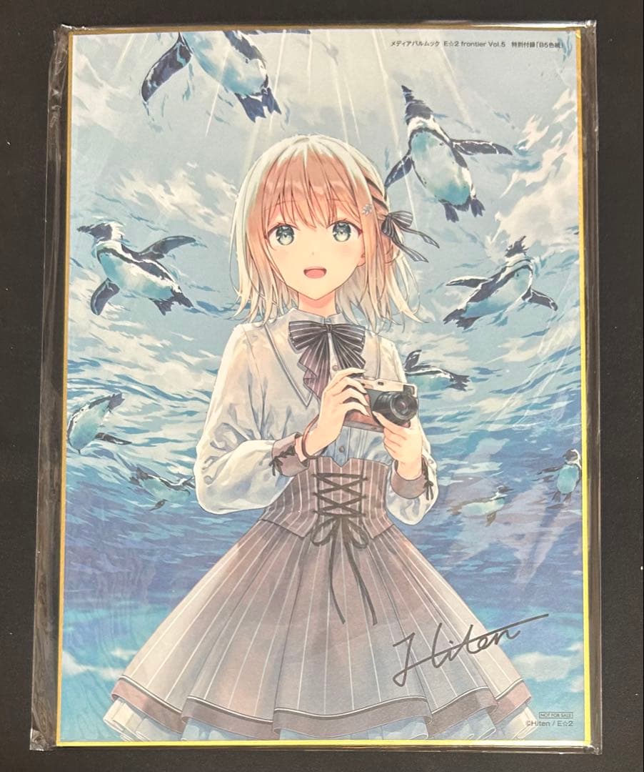 E☆2 frontier Vol.5 特別付録 B5色紙 Hiten えつ 付録 - メルカリ