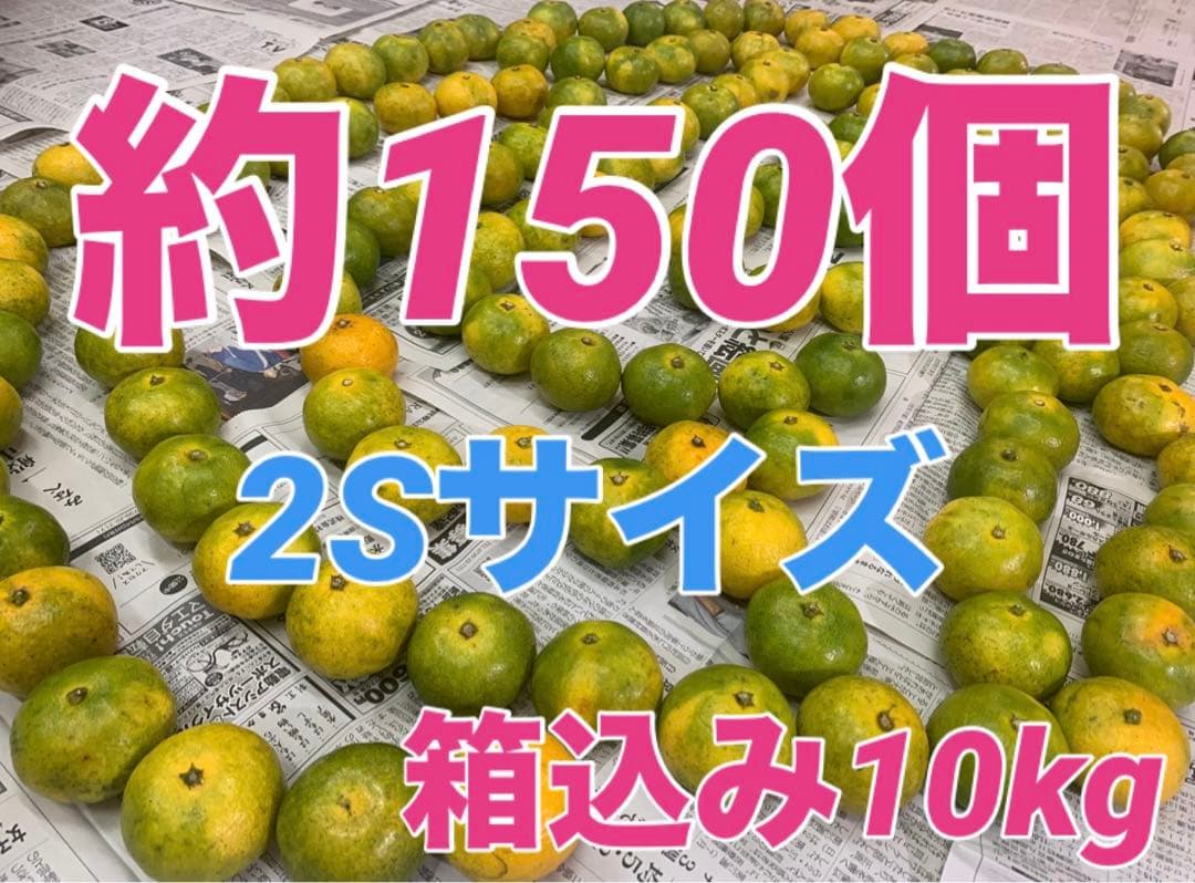 1119紀南みかん 150個ぐらい 2Sサイズ 箱込み10kg キルトパッチ - メルカリ