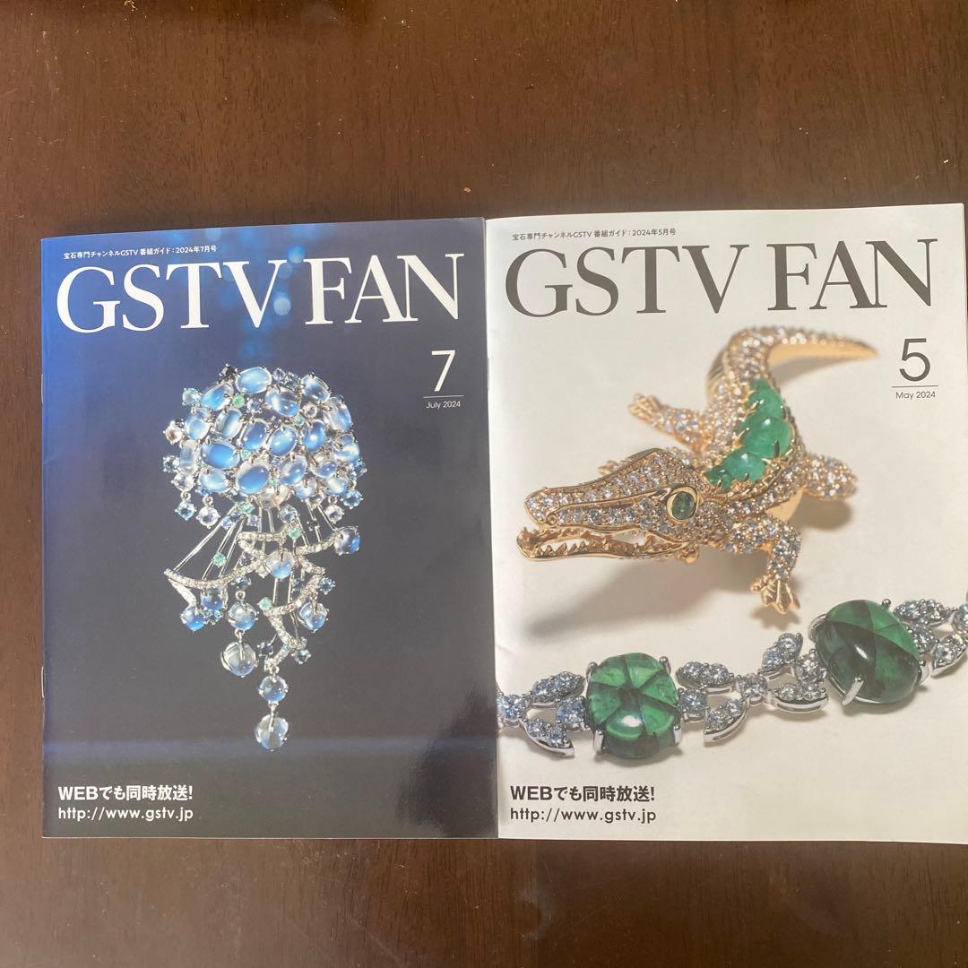 GSTV FAN 7月号と5月号セット 2024 - メルカリ
