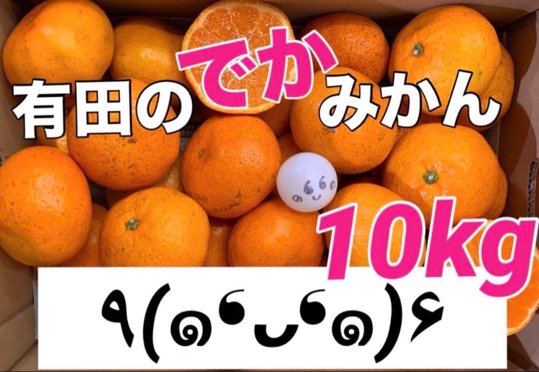 C23L【有田のでかみかん】10kg 3L家庭用大玉サイズ - メルカリ
