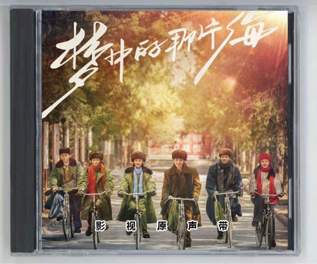 中国ドラマ♡『夢の中のあの海～夢中的那片海～』肖戦主演OST /CD 1枚12曲 - メルカリ