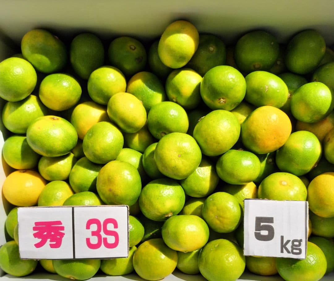山北みかん 秀 3S 5kg - メルカリ