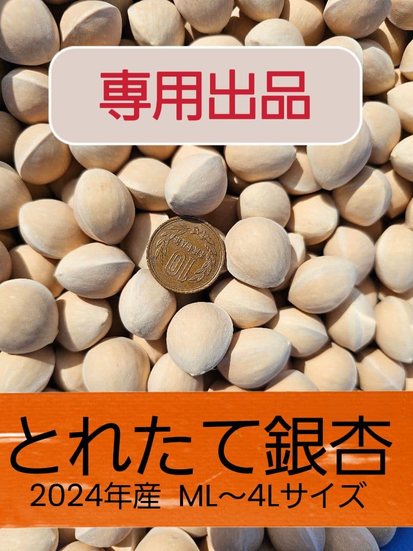 【新品/未使用】《専用出品》2024年産 銀杏4L 1kg《訳あり》 - メルカリ