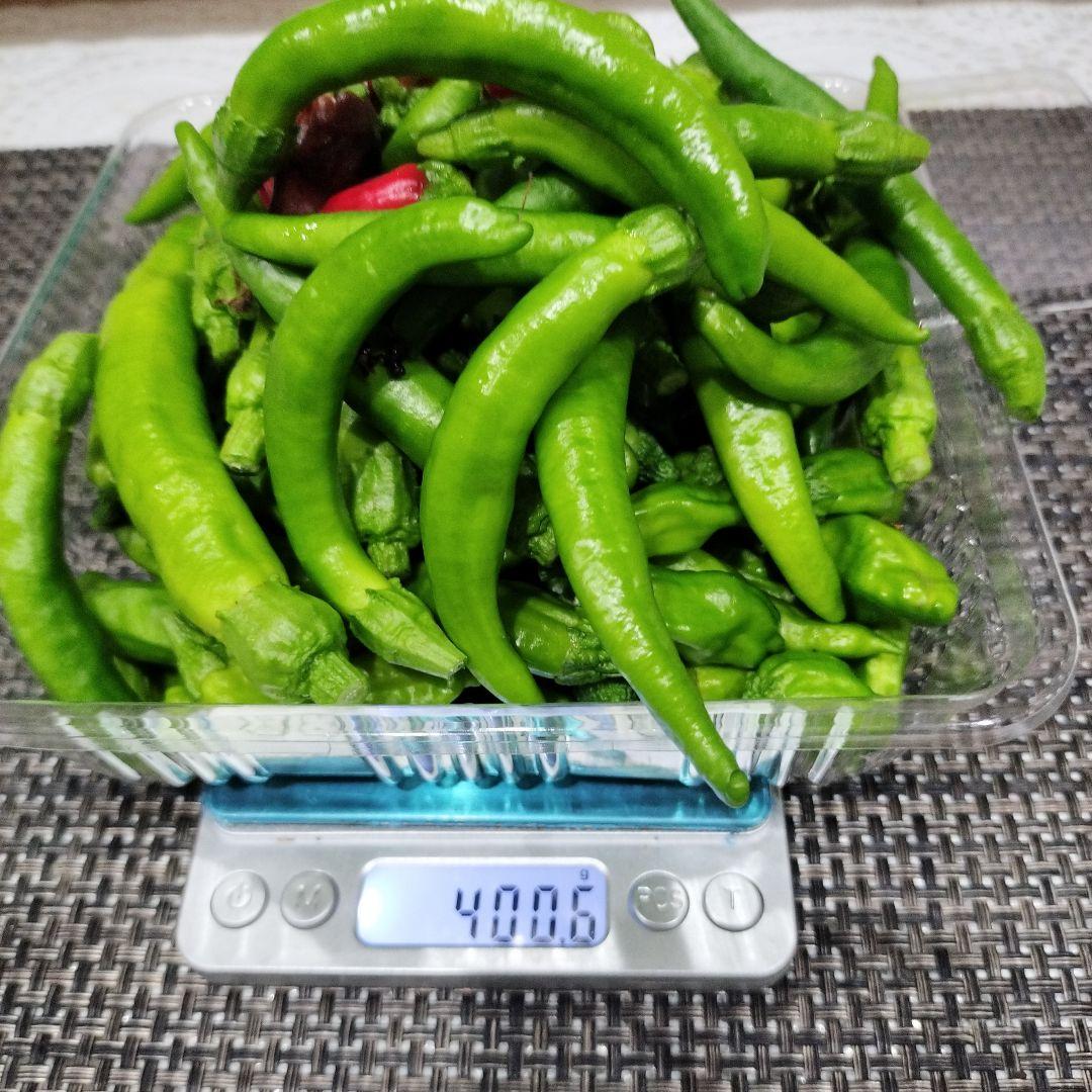 【新品/未使用】ししとう（約390g）3種類 無農薬 家庭菜園 - メルカリ