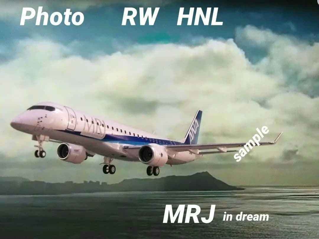 航空機模型 MRJ/ANA RW HNL 空カメ - メルカリ