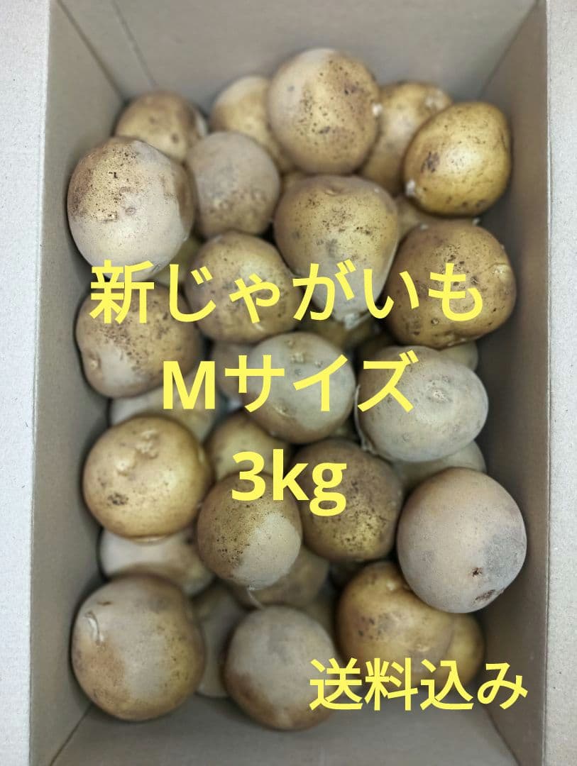 【新鮮】新ジャガイモ M 3kg - メルカリ