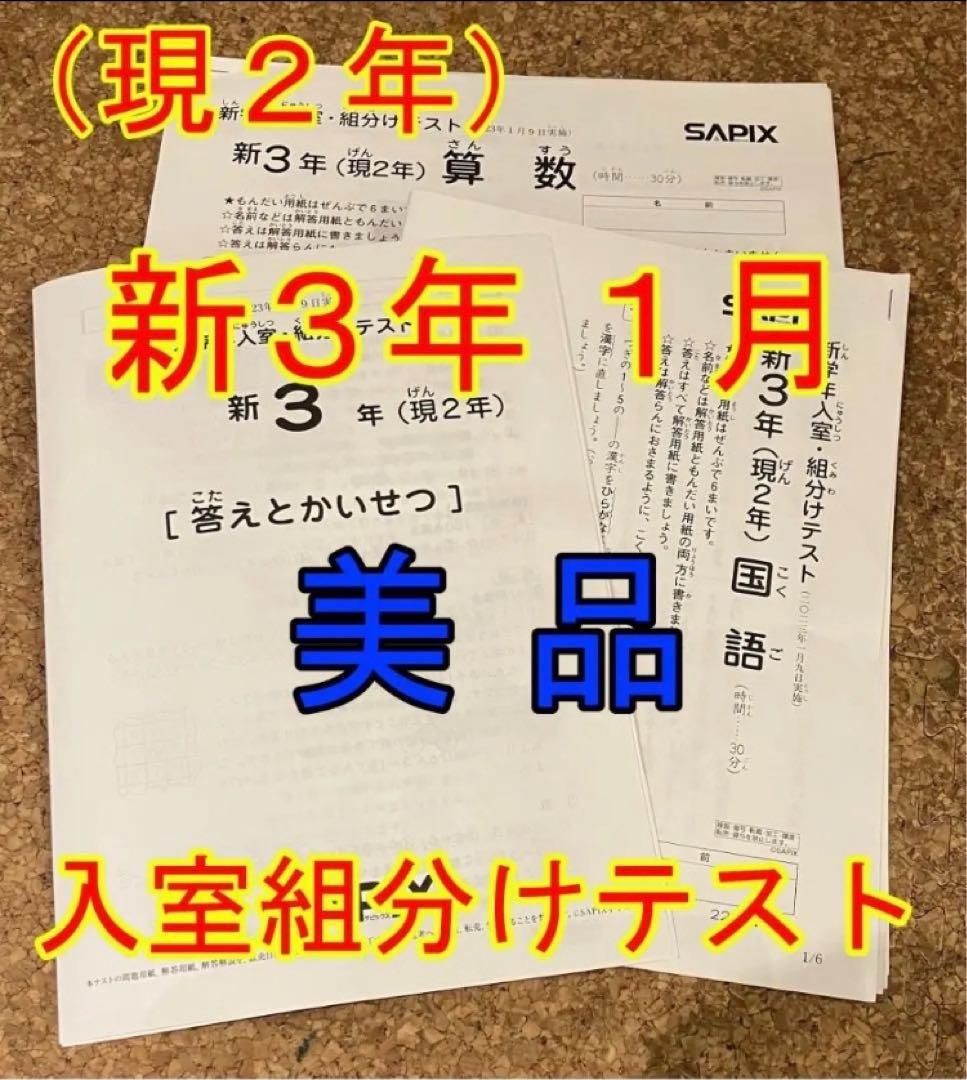 【2023年実施】サピックス・SAPIX 新3年1月 入室・組分けテスト - メルカリ