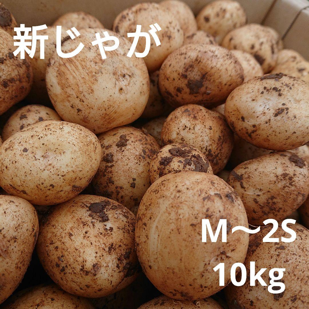 新 じゃがいも 約10kg(M～2S) - メルカリ