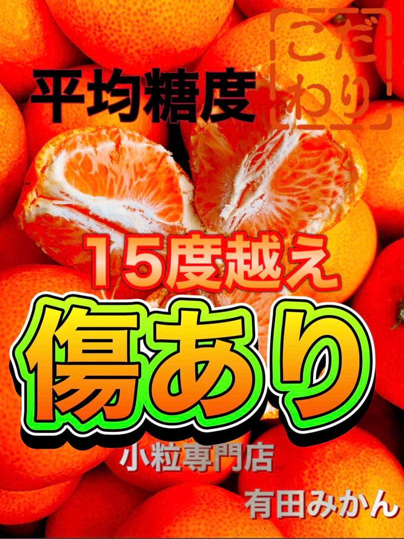 糖度15度越え プレミアムみかんキング 傷あり 旬味有田みかん 2Kg - メルカリ